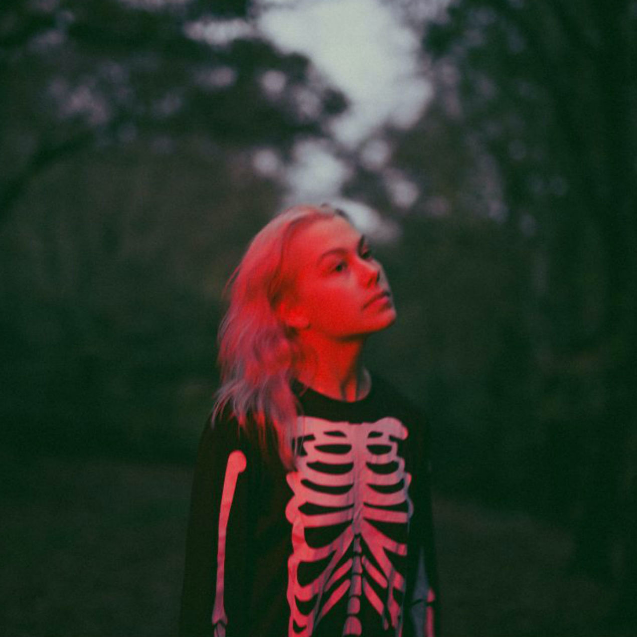 Crítica | Phoebe Bridgers: "Punisher" - Música Instantânea
