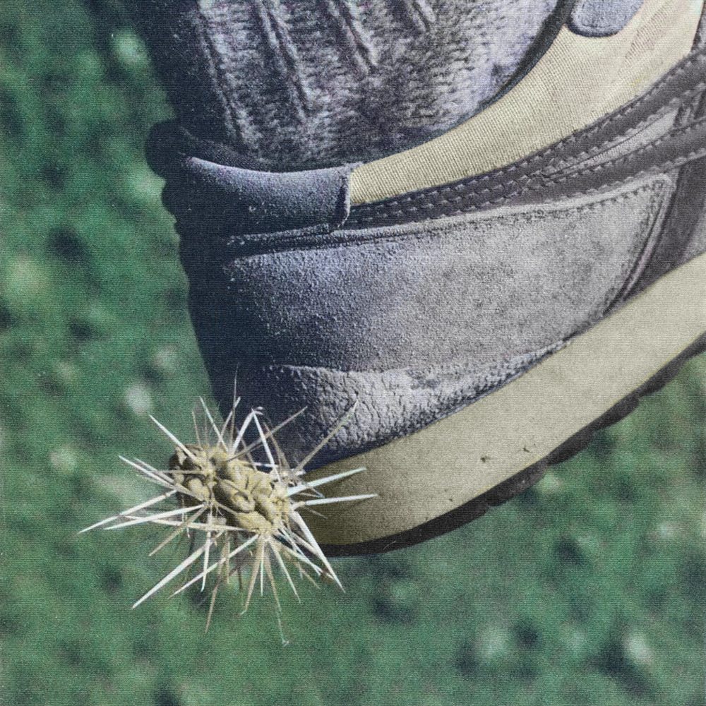 Ouça | Ross from Friends: "Tread" - Música Instantânea